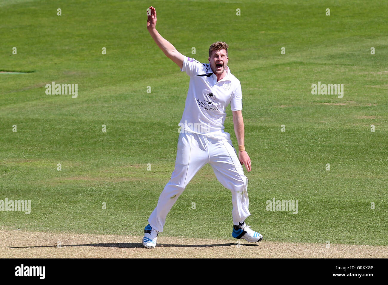 David Balcombe of Hampshire claims the wicket of Essex batsman Nick ...