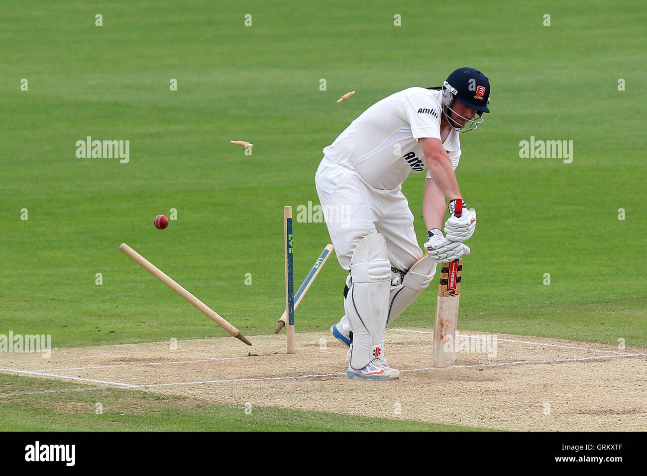 Mitchell Claydon Stock Photos & Mitchell Claydon Stock Images - Alamy