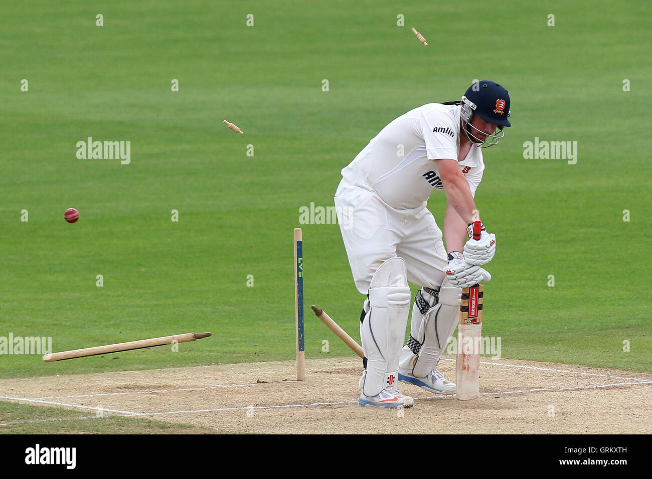 Mitchell Claydon Stock Photos & Mitchell Claydon Stock Images - Alamy
