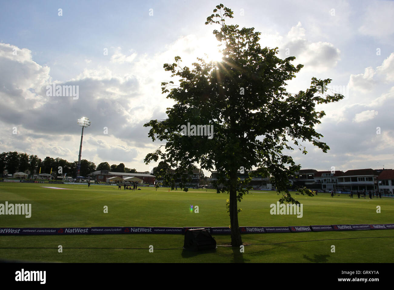 St lawrence ground tree hi-res stock photography and images - Alamy