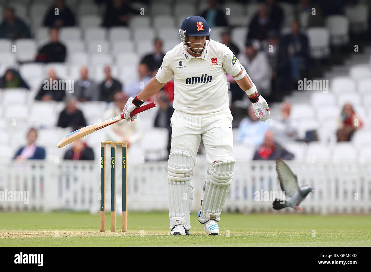 Cricket playing away hi-res stock photography and images - Alamy
