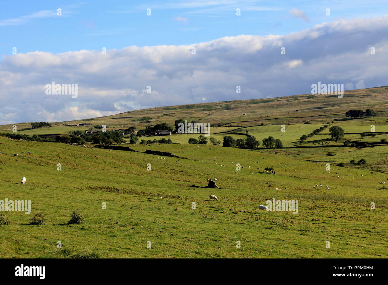 Stainton hi-res stock photography and images - Alamy