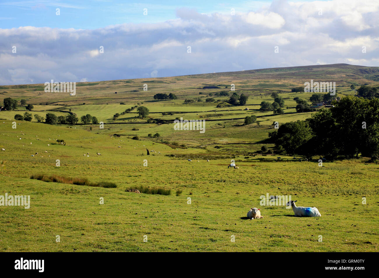 Stainton hi-res stock photography and images - Alamy