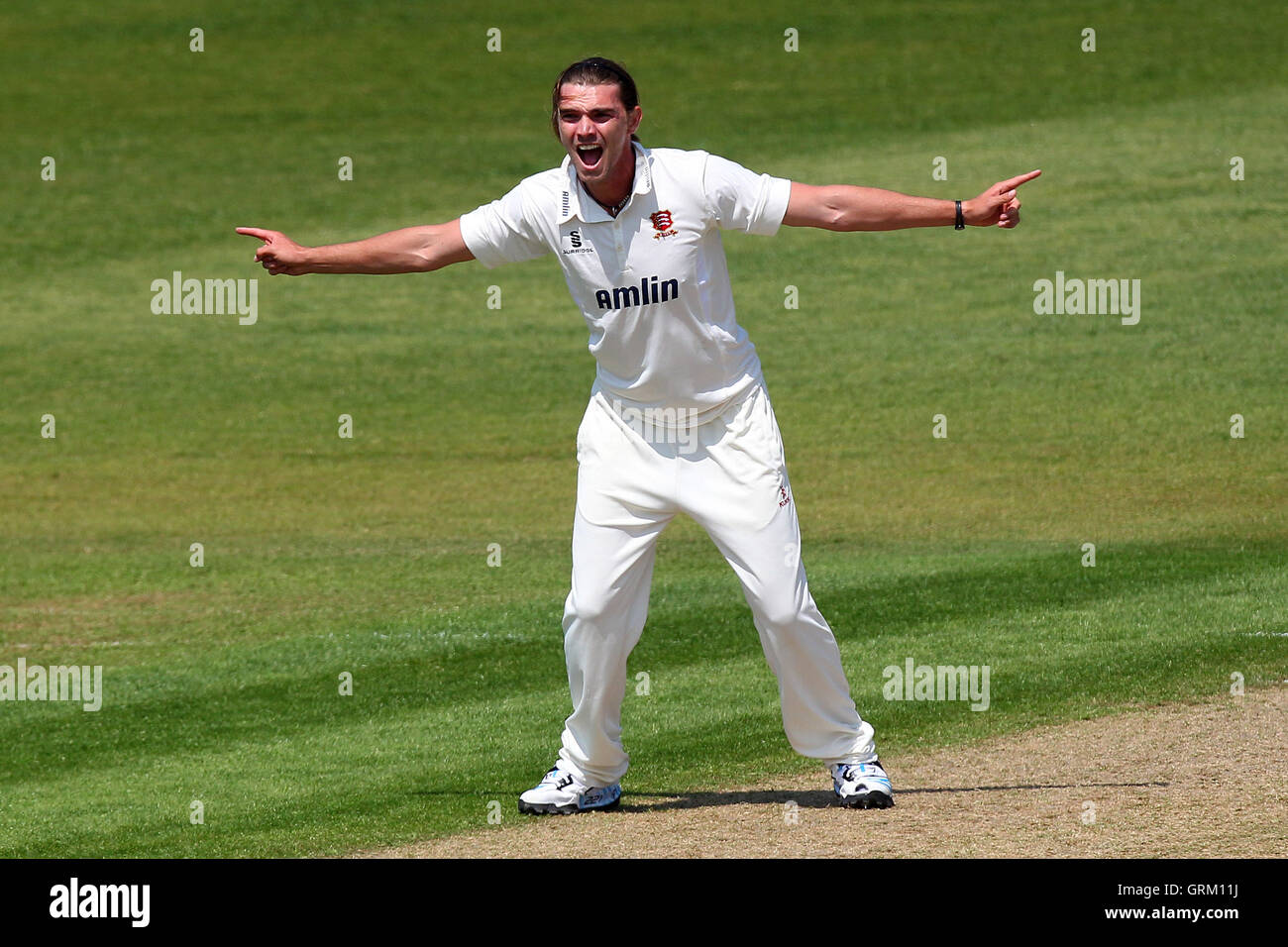 Oliver Newby of Essex with a strong appeal for the wicket of Daryl ...