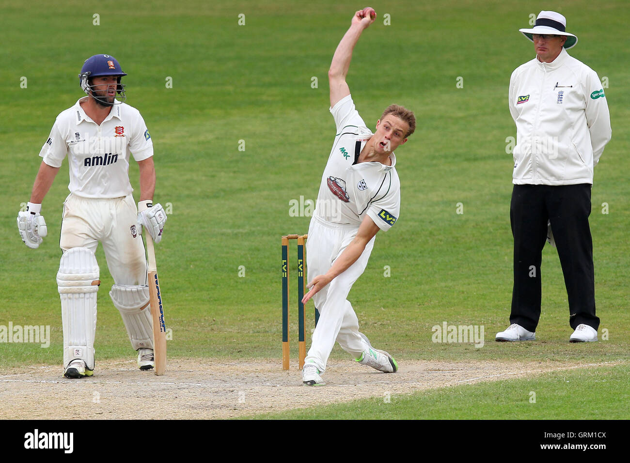Cricket charlie hi-res stock photography and images - Alamy