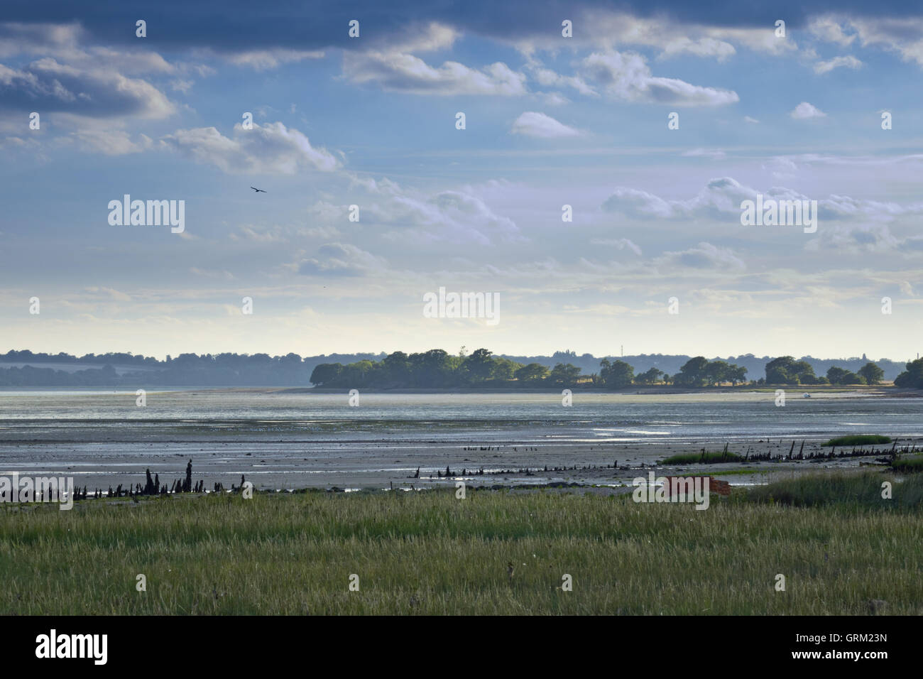 Marsh Holbrook bay River Stour estuary Stock Photo - Alamy