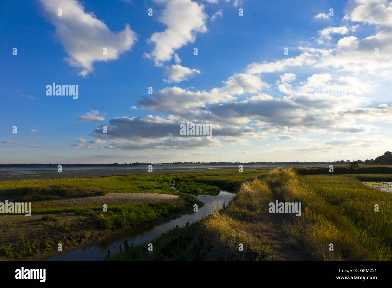 Marsh Holbrook bay River Stour estuary Stock Photo - Alamy