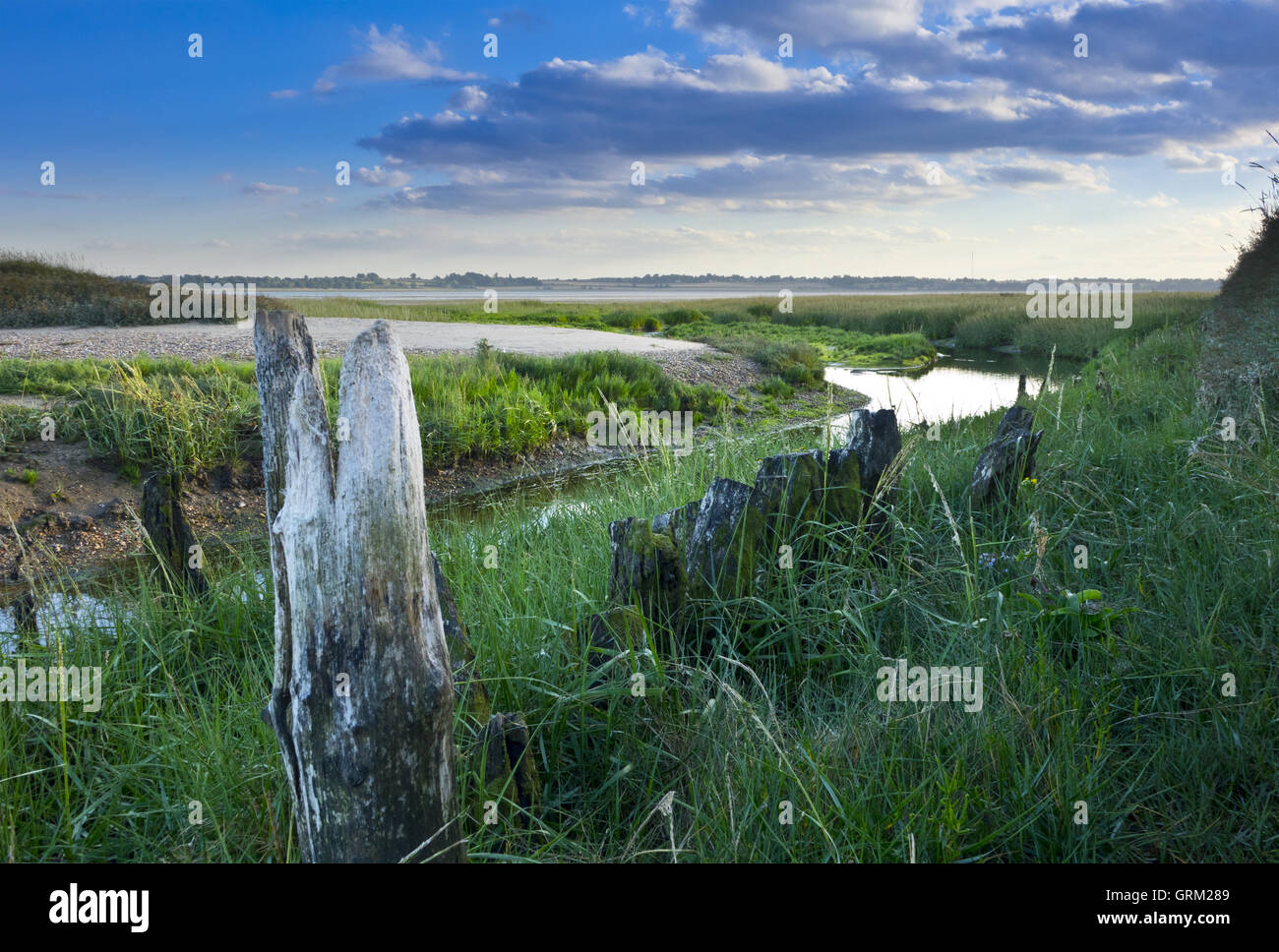 Marsh Holbrook bay River Stour estuary Stock Photo - Alamy