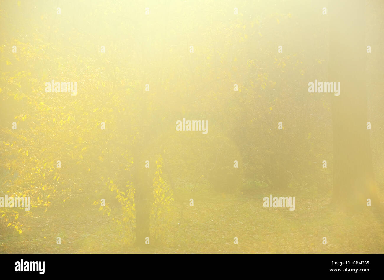 Soft light rays hi-res stock photography and images - Alamy