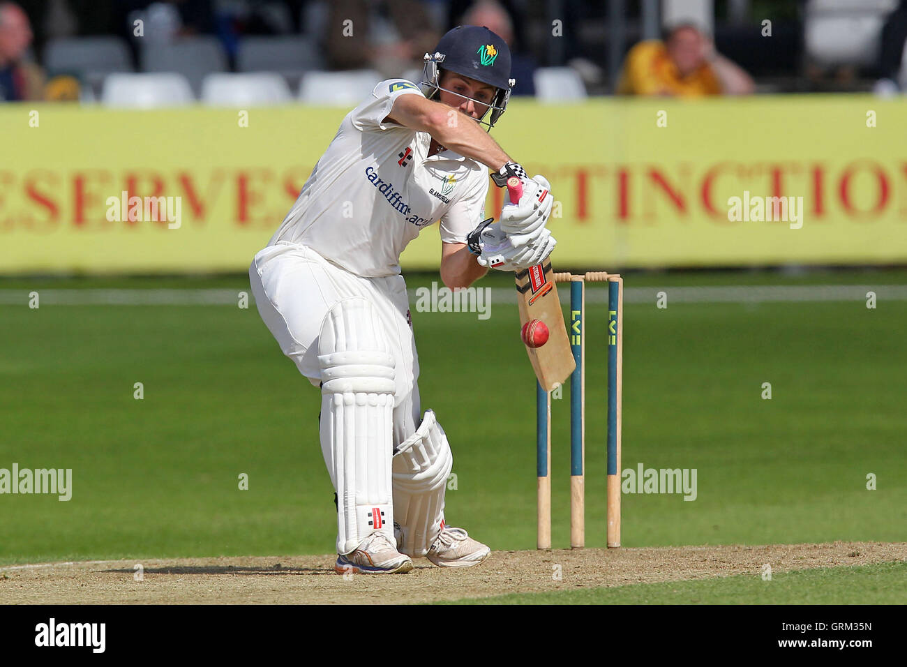 Mark wallace of glamorgan county cricket club hi-res stock photography ...