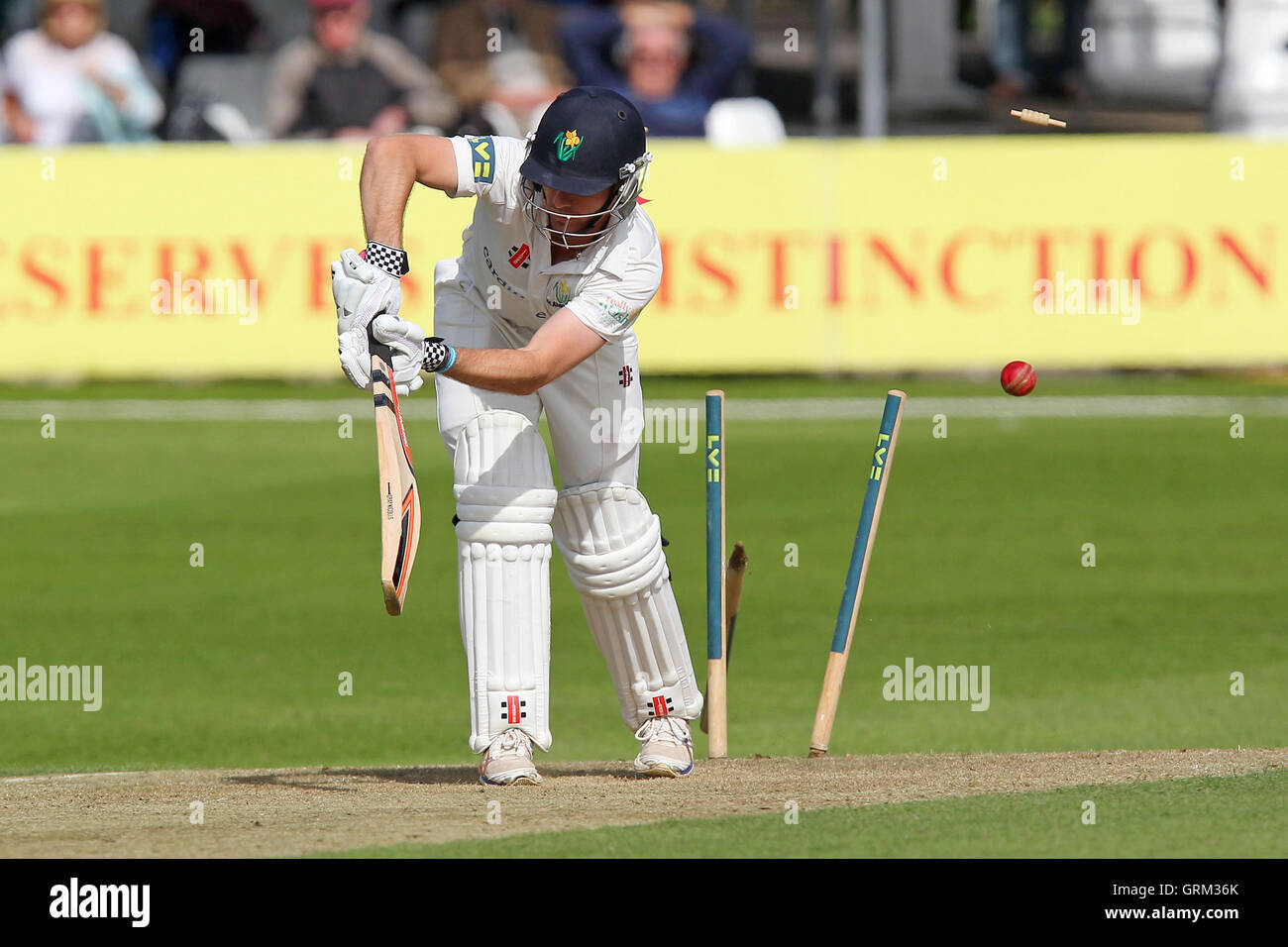 Mark wallace of glamorgan county cricket club hi-res stock photography ...