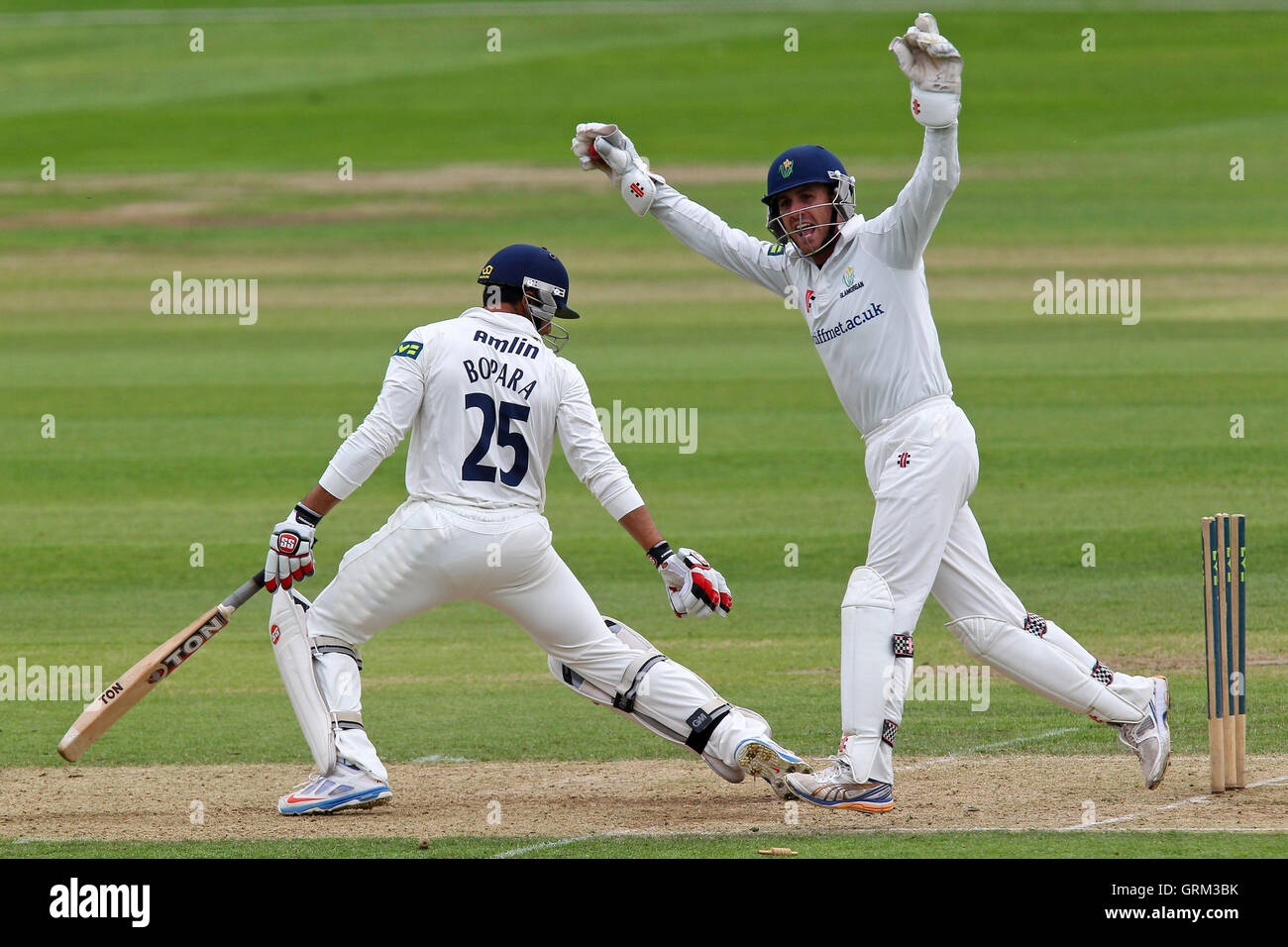 A big appeal by Mark Wallace of Glamorgan for the wicket of Ravi Bopara ...