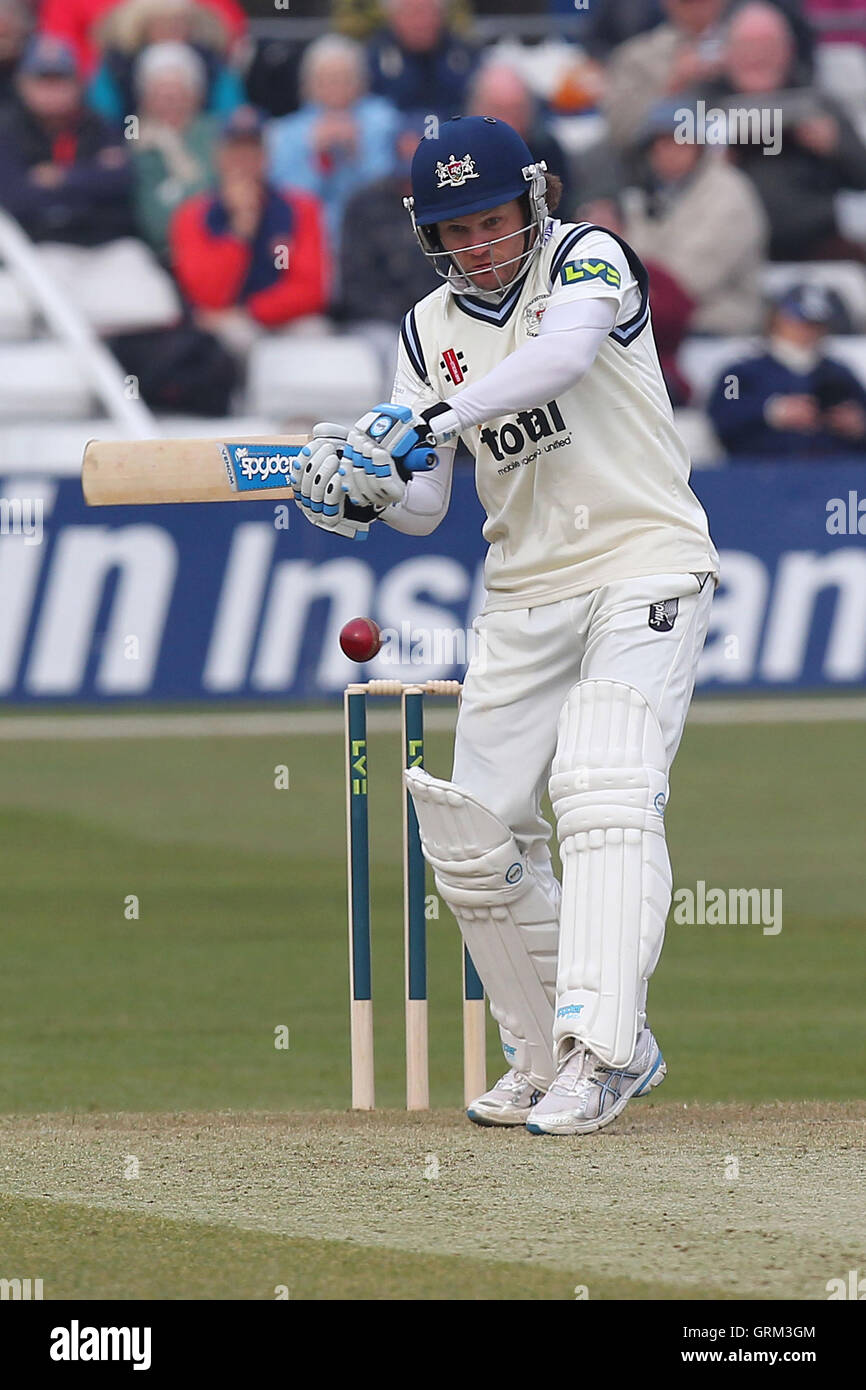 Hamish marshall cricketer hi-res stock photography and images - Alamy