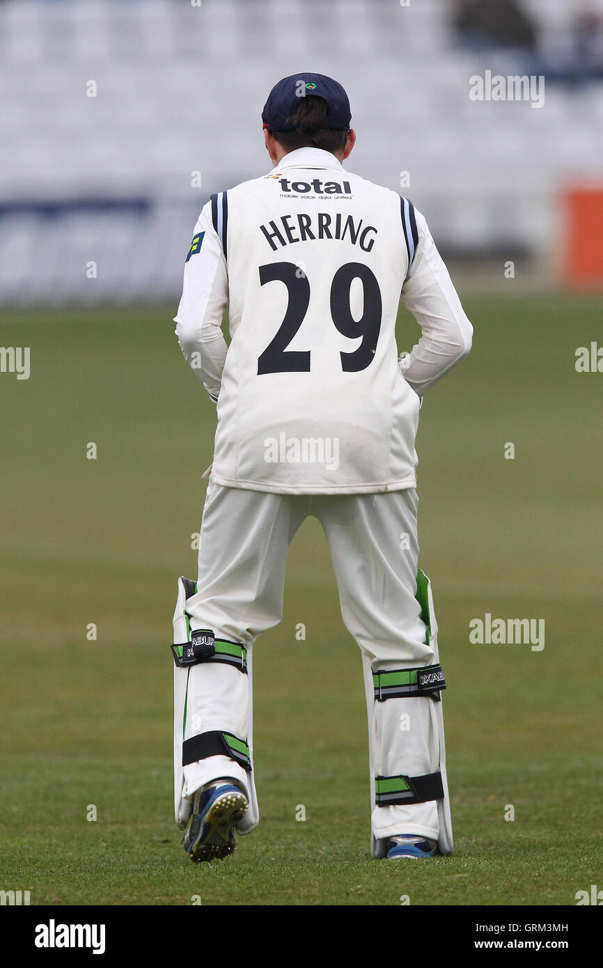 Cameron herring hi-res stock photography and images - Alamy