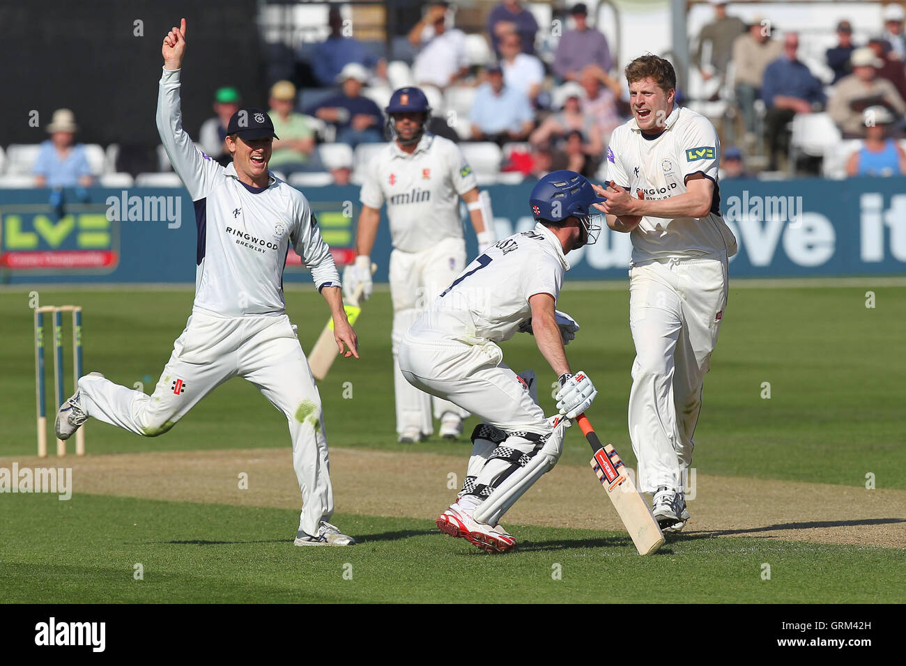 Delight for David Balcombe and George Bailey (L) of Hampshire and ...