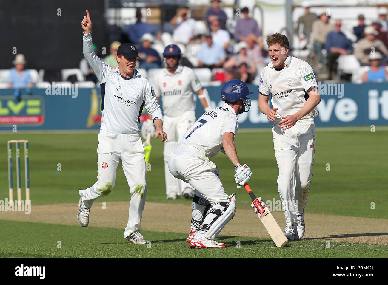 Delight for David Balcombe and George Bailey (L) of Hampshire and ...