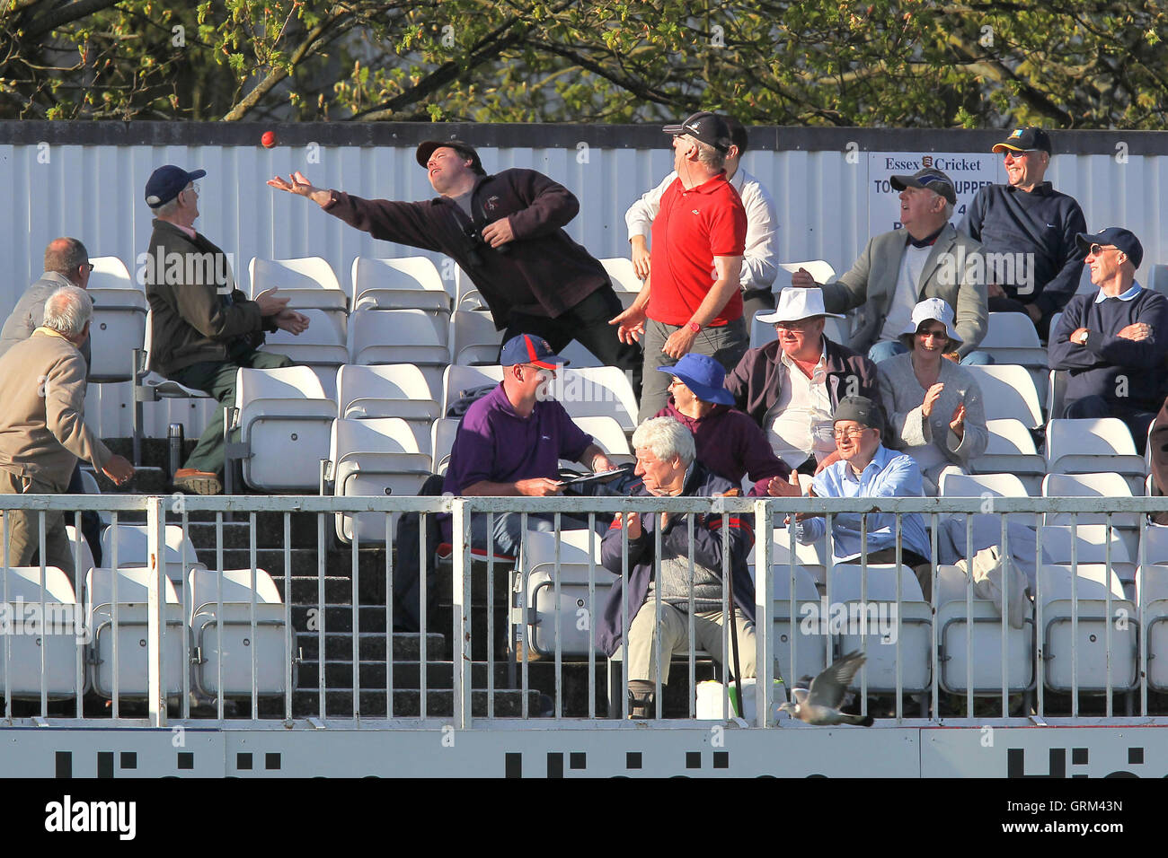 A spectator attempts to catch the ball as Graham Napier hits six runs ...