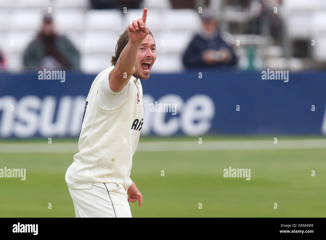 Graham Napier of Essex appeals for the wicket of Ben Harmison - Essex ...