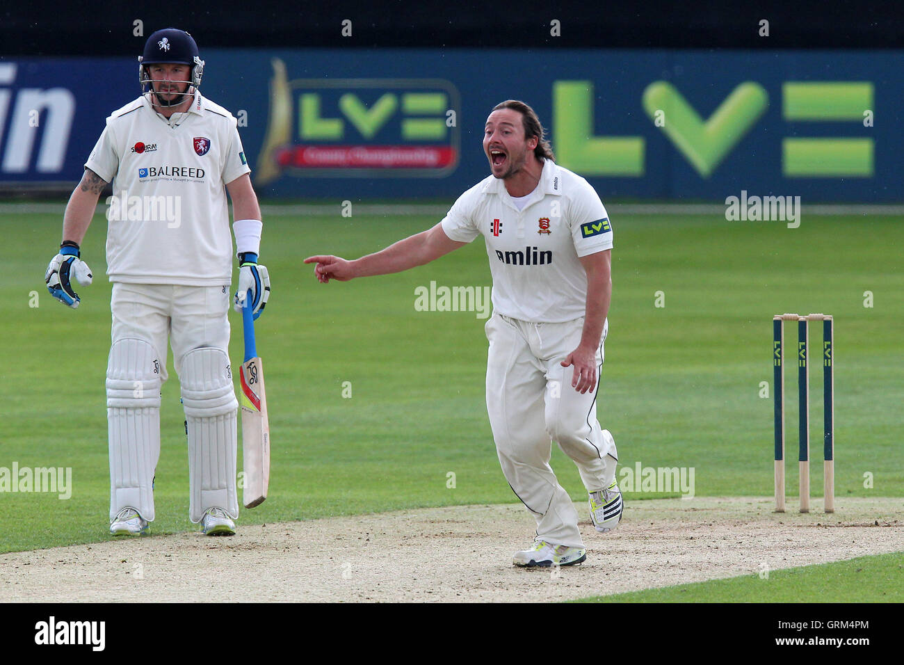 Graham Napier of Essex makes a big appeal for the wicket of Ben ...