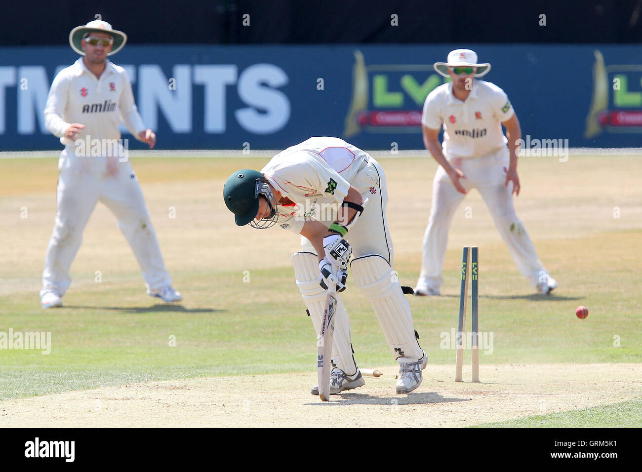Alex wyatt hi-res stock photography and images - Alamy