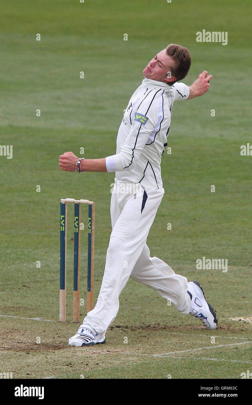 Cricket tom helm hi-res stock photography and images - Alamy