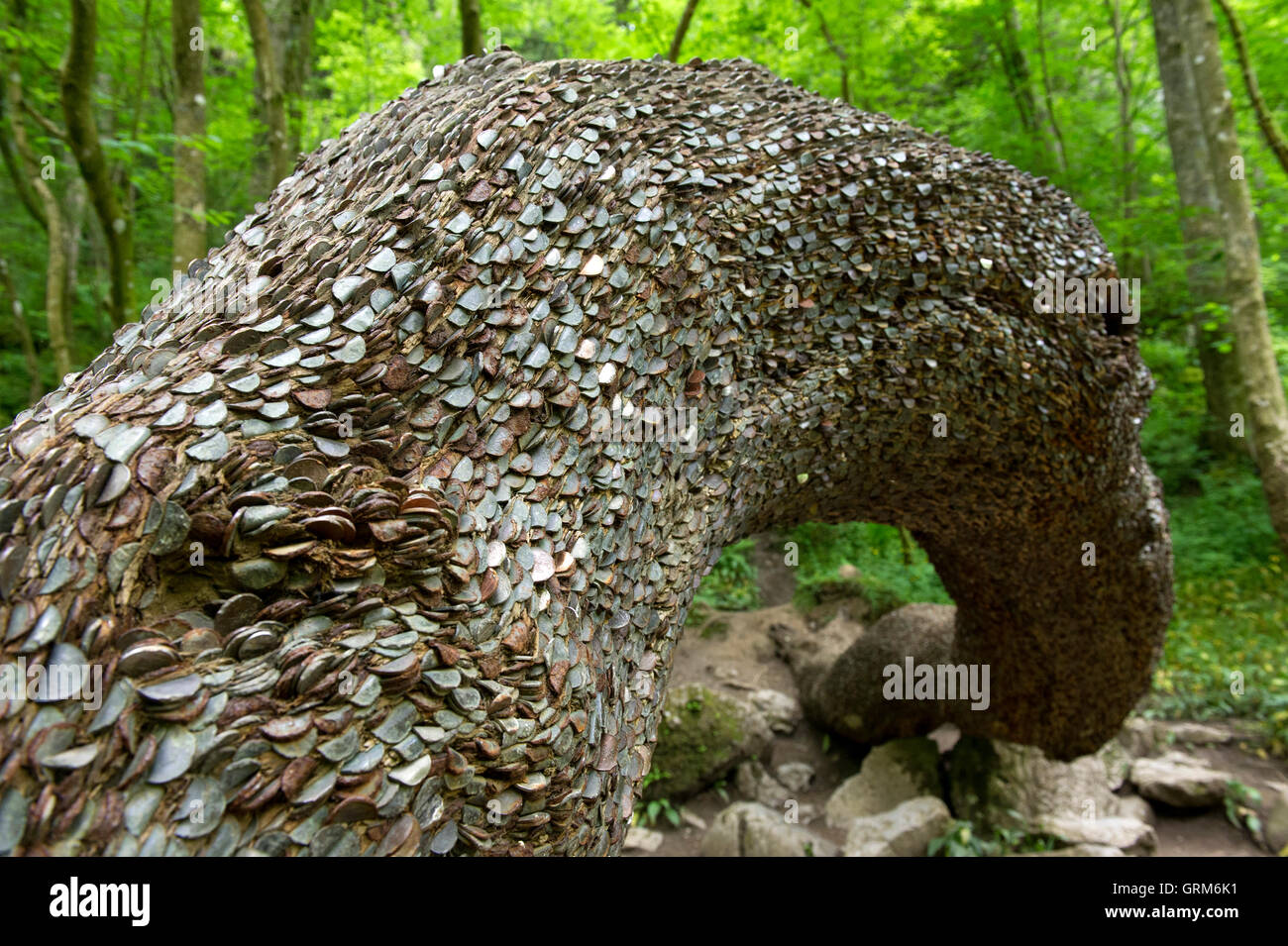 Coins embedded into the Wishing Tree along the Ingleton Waterfall Trail ...