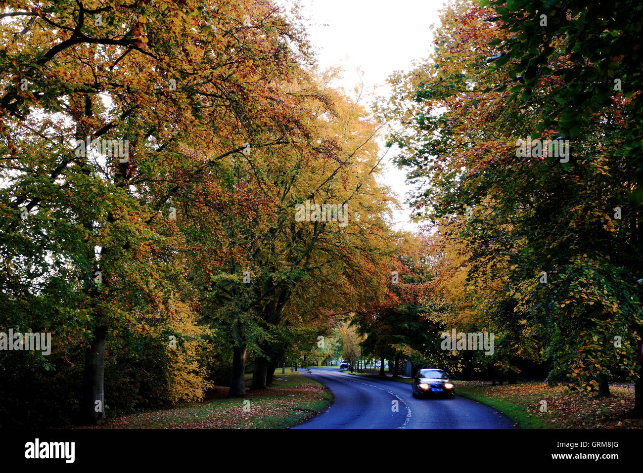 Barham Kent England High Resolution Stock Photography and Images - Alamy