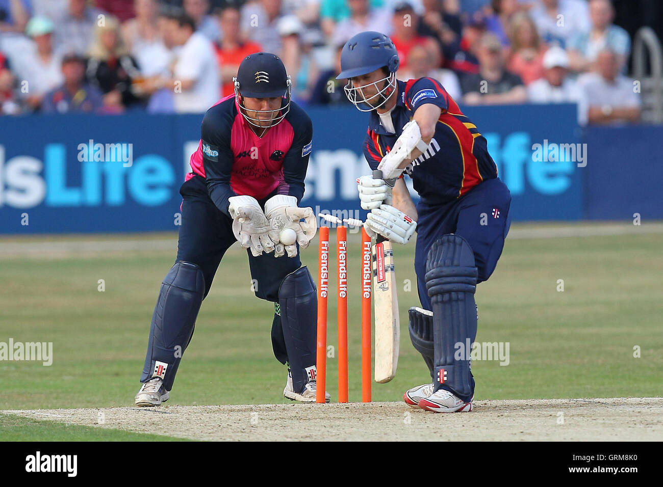 Neil foster cricket hi-res stock photography and images - Alamy
