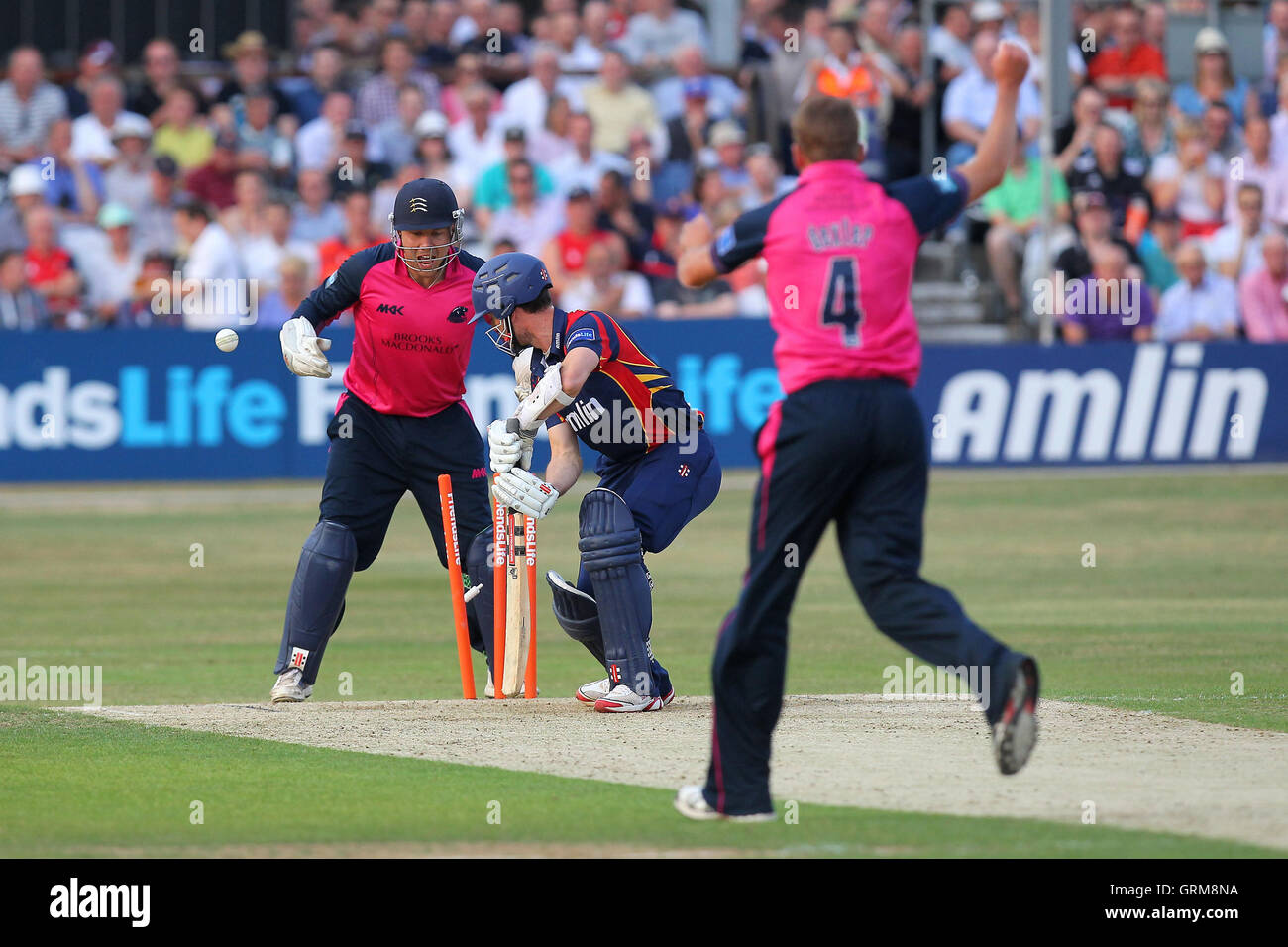Neil foster cricket hi-res stock photography and images - Alamy