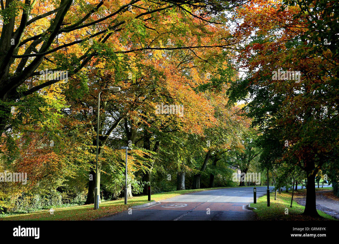 Autumn Colour, Barham, Elham Valley, Kent, UK Stock Photo - Alamy
