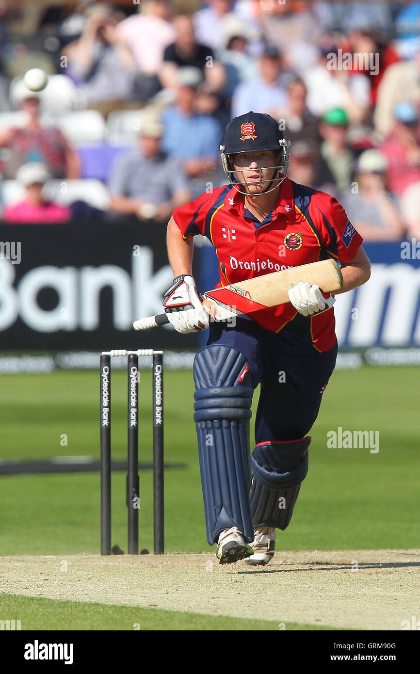 Tom westley of essex batting hi-res stock photography and images - Alamy