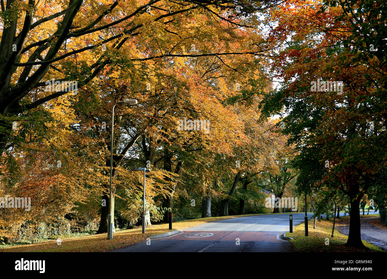Elham valley kent hi-res stock photography and images - Alamy