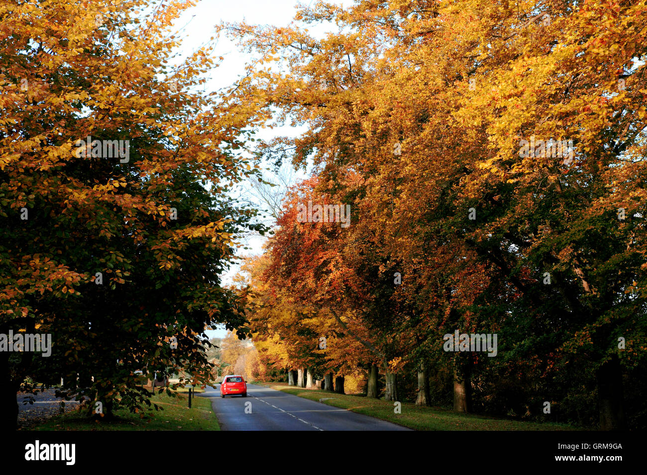 Elham valley hi-res stock photography and images - Alamy
