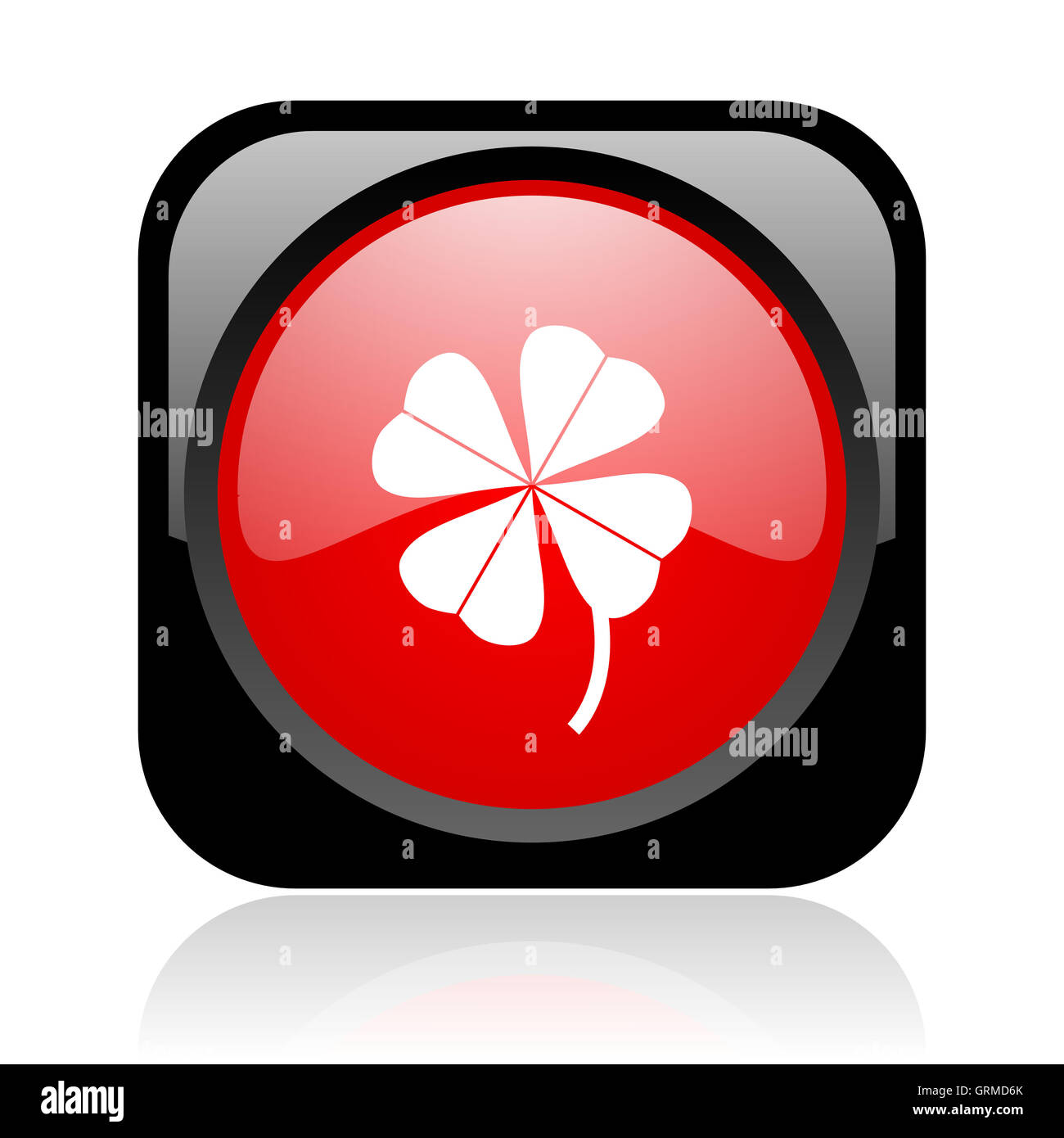 four-leaf clover black and red square web glossy icon Stock Photo - Alamy