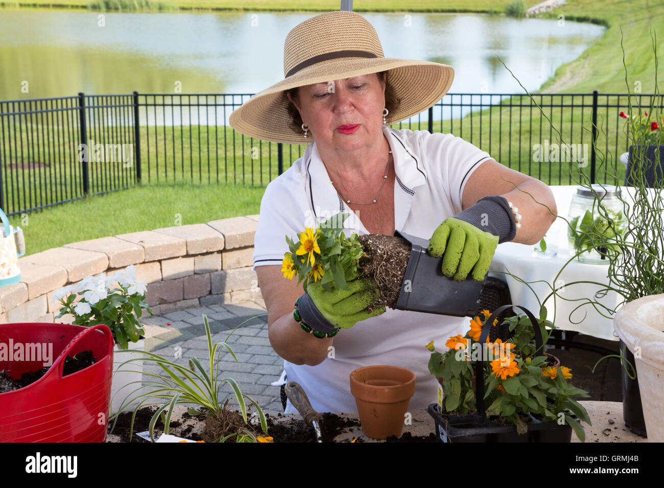Removing potted plants hi-res stock photography and images - Alamy