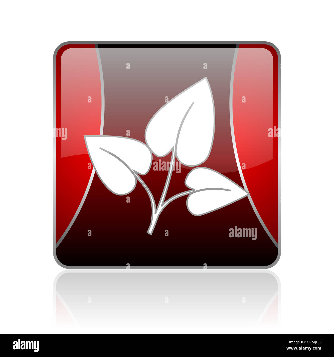 eco red square web glossy icon Stock Photo - Alamy