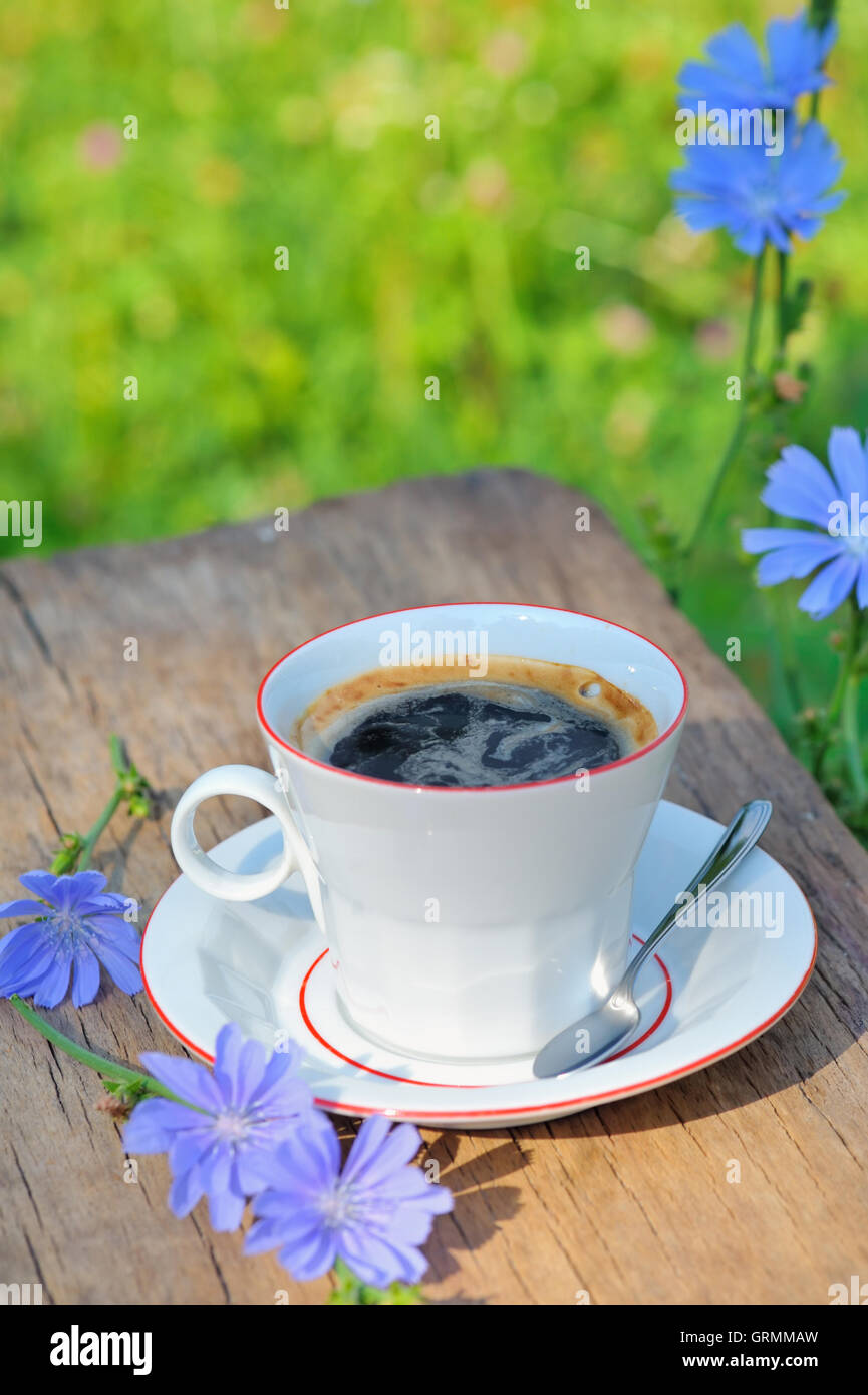 Chicory hot drink Stock Photo - Alamy