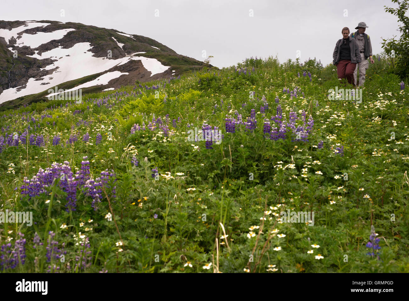 Roberts ridge hi-res stock photography and images - Alamy