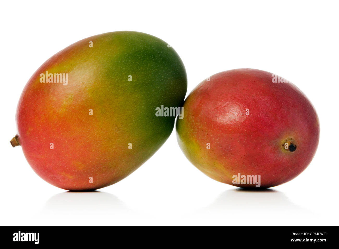 two colorful mango isolated over white background Stock Photo - Alamy