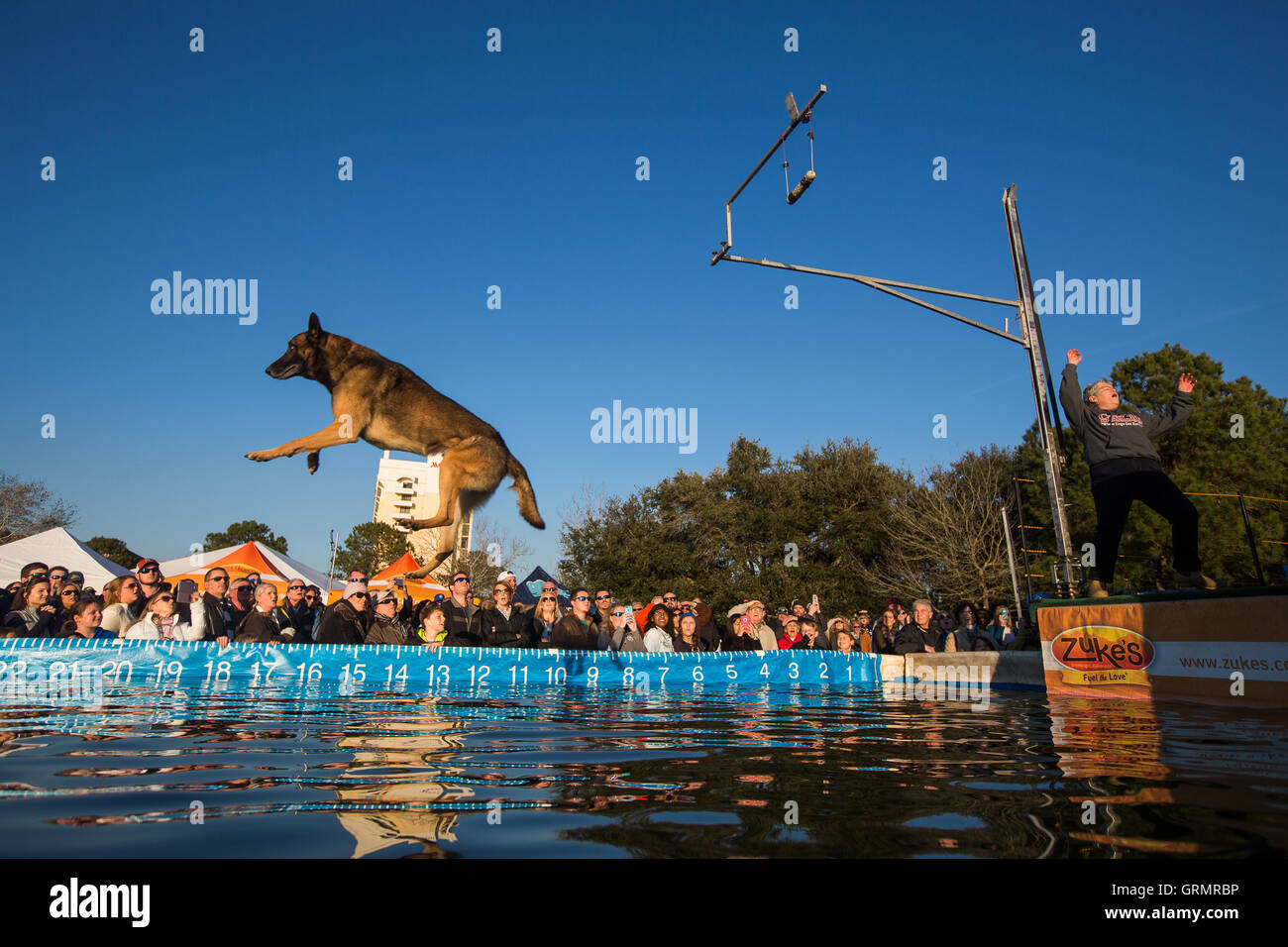 Dock Dogs Jumping competition in Charleston, South Carolina. Dogs can ...