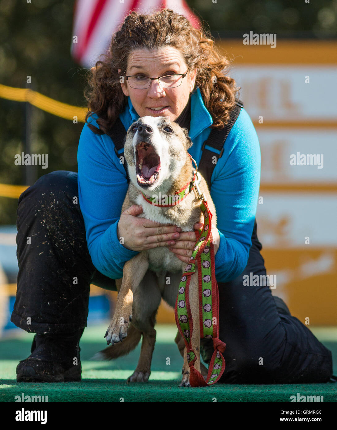 Dock Dogs Jumping competition in Charleston, South Carolina. Dogs can ...