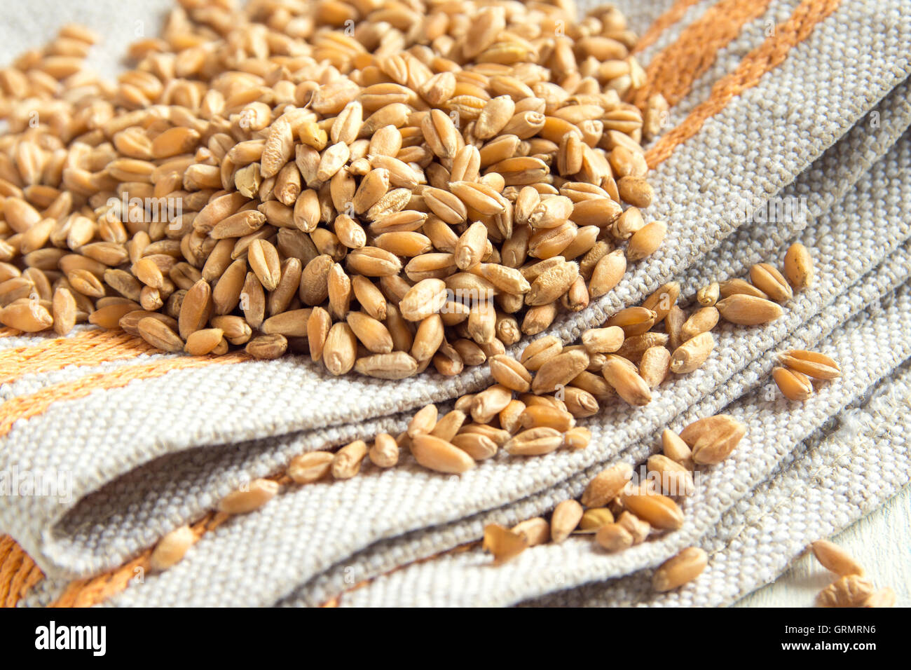 Wheat organic seeds (grains) over burlap and rustic wooden texture ...