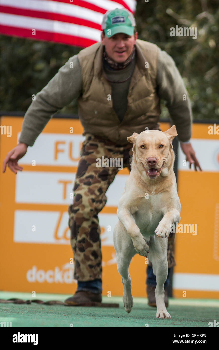 Dock Dogs Jumping competition in Charleston, South Carolina. Dogs can ...