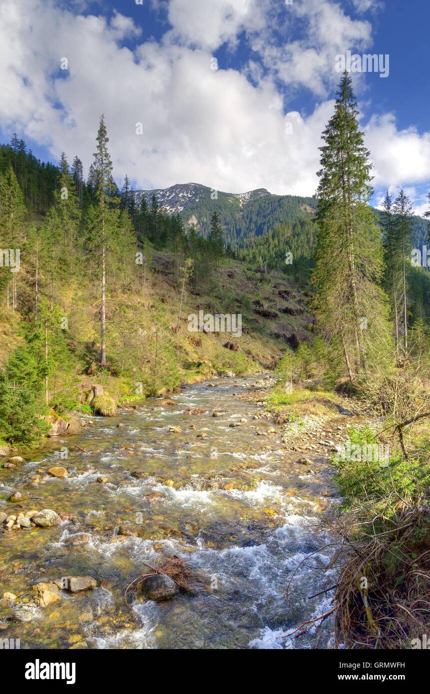Stream trekking hi-res stock photography and images - Alamy