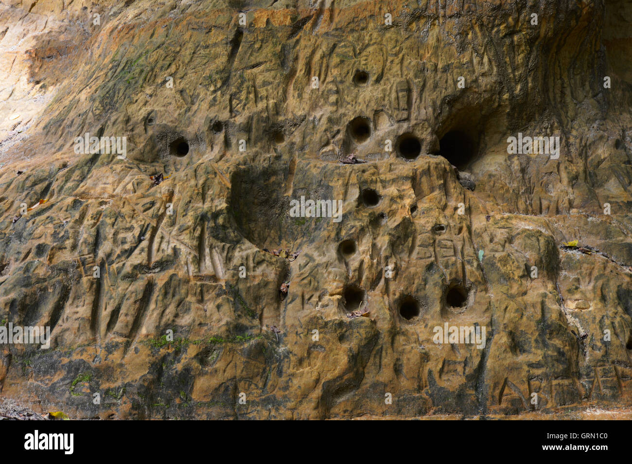 Brown limestone hi-res stock photography and images - Alamy