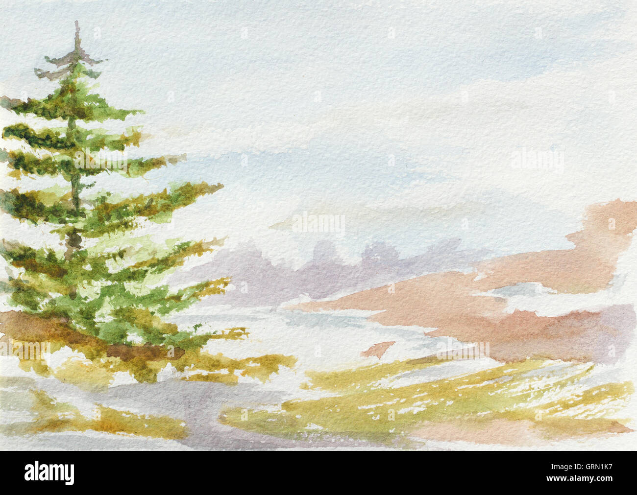 natural landscape with fir tree. hand painted watercolor illustration ...