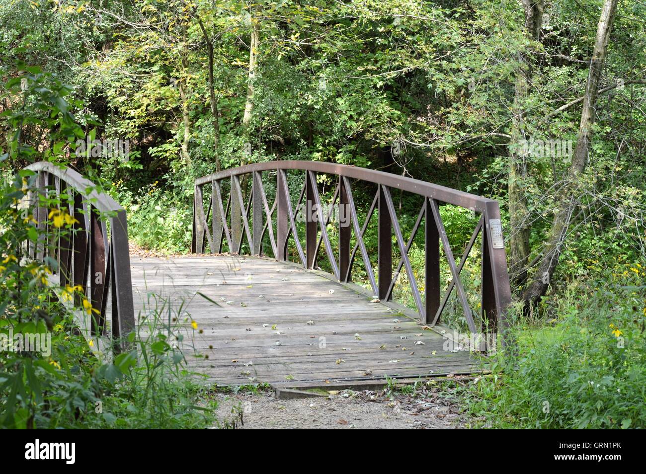 Bridge in the Woods Stock Photo - Alamy