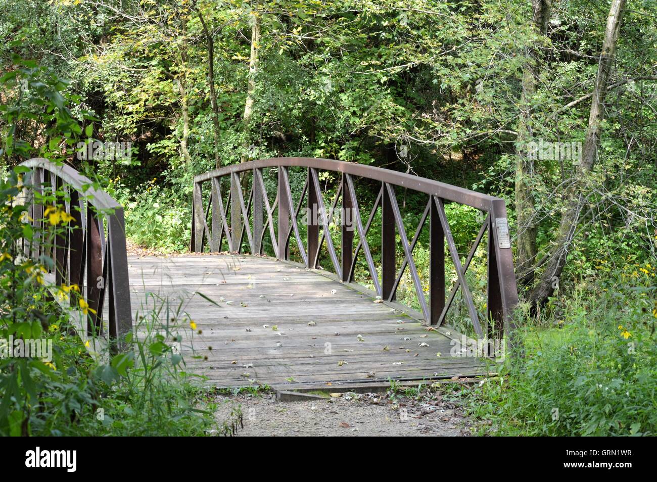 Bridge in the Woods Stock Photo - Alamy