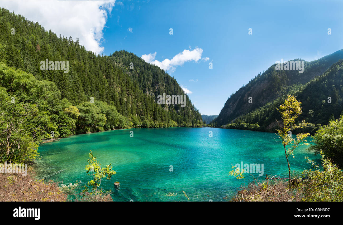 Panda Lake, Jiuzhaigou National Park, Szechuan, China Stock Photo - Alamy
