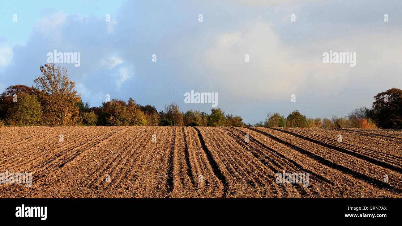 Ploughed field, Bridge, Elham Valley, Kent, UK Stock Photo - Alamy
